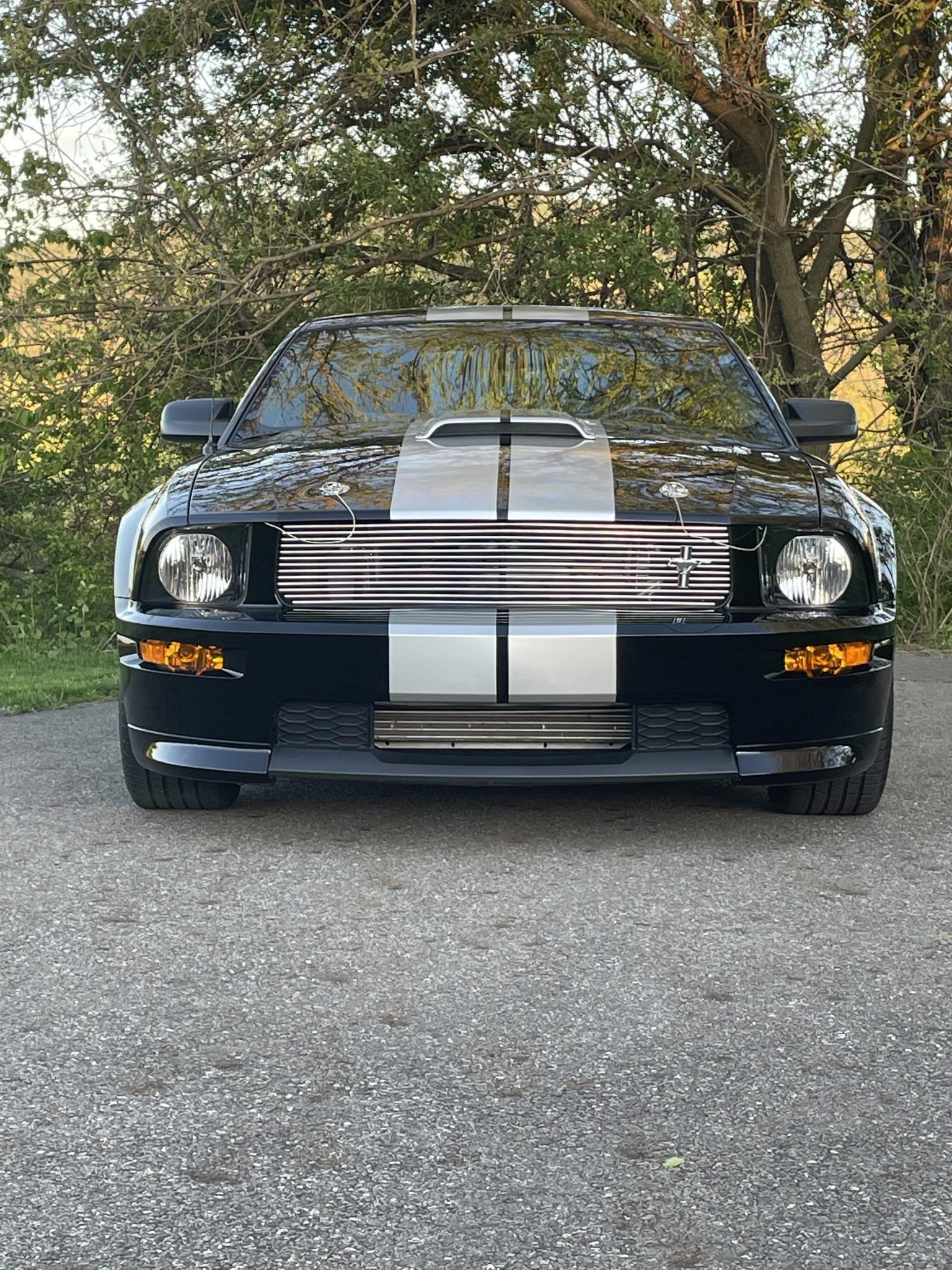 2007 Ford Mustang Shelby GT 5-Speed – Sesame Cars