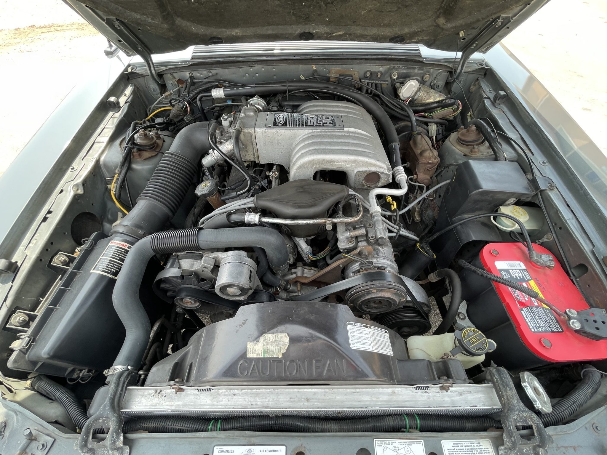 1986 Ford Mustang GT Convertible 5-Speed – Sesame Cars