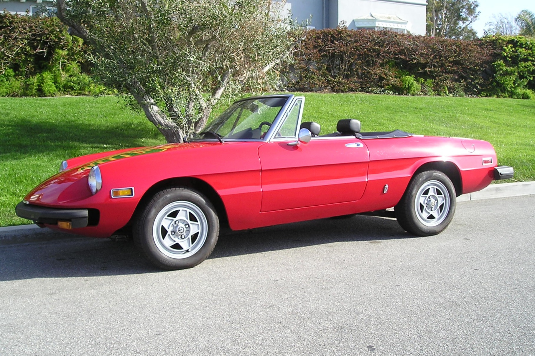 1976 Alfa Romeo Spider – Sesame Cars