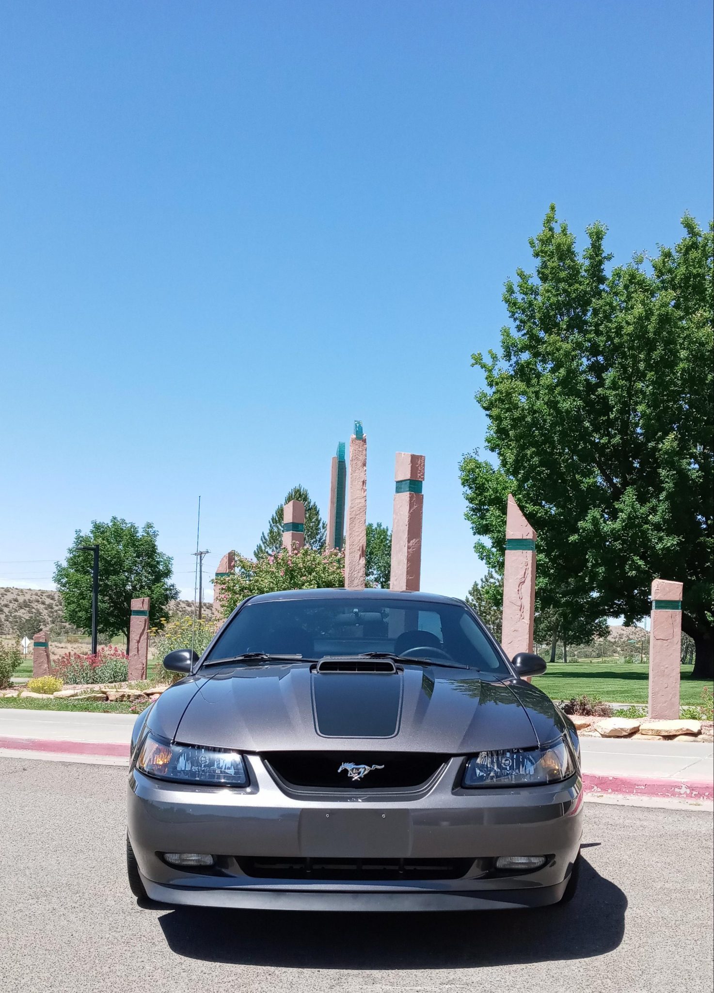 2003 Ford Mustang Mach 1 5-Speed – Sesame Cars