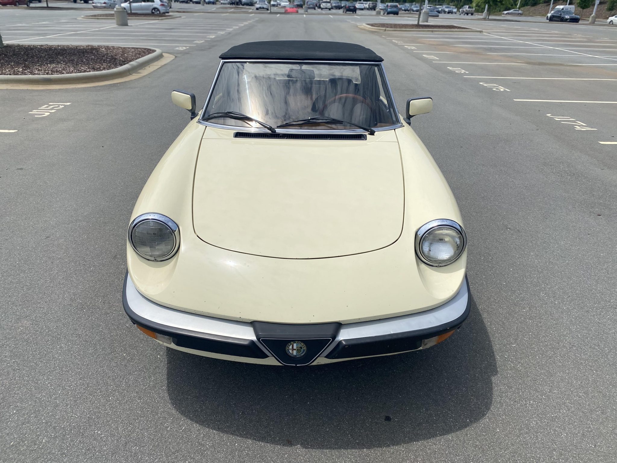 1984 Alfa Romeo Spider Veloce – Sesame Cars