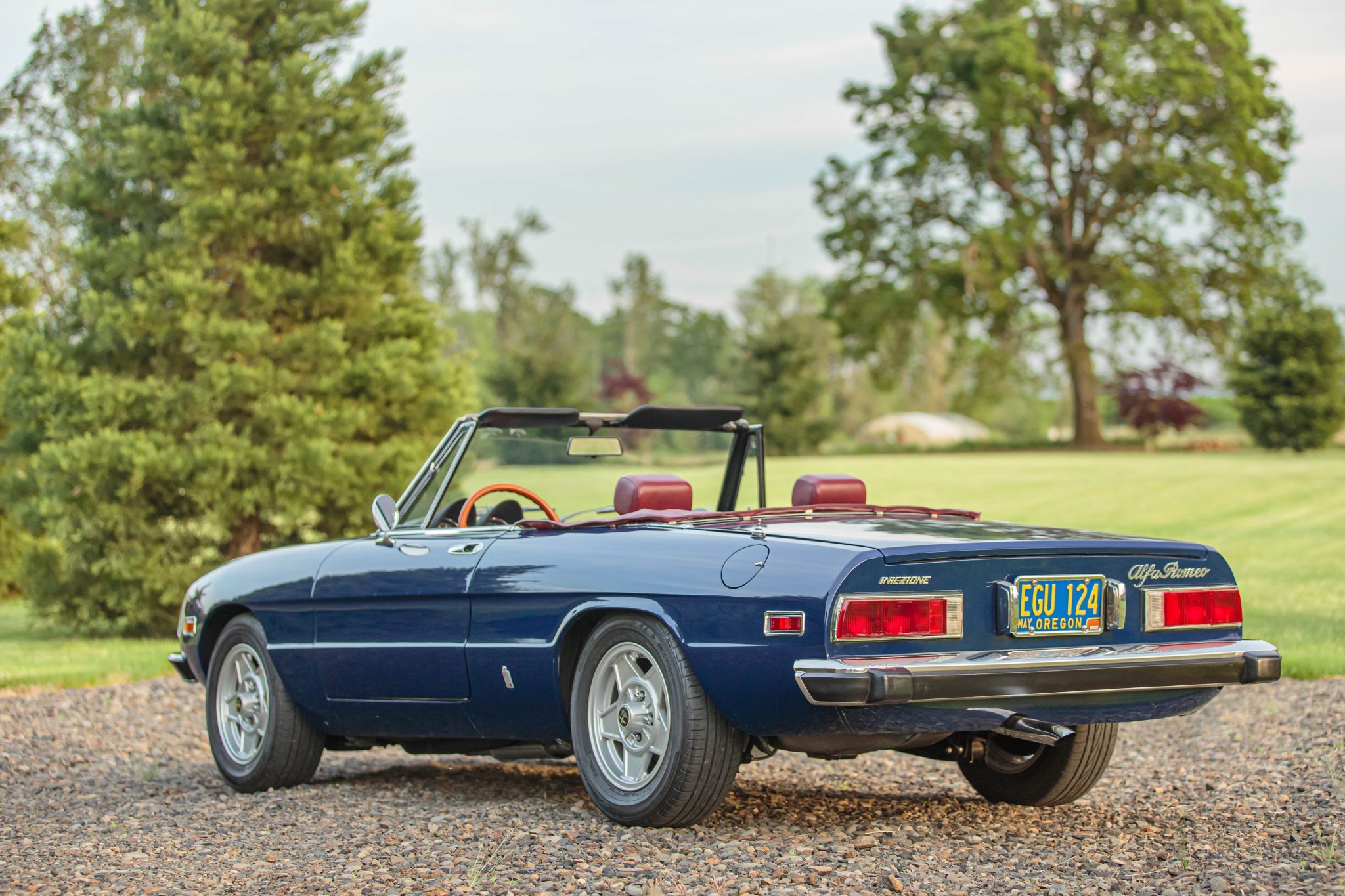 Interesting 1974 Alfa Romeo Spider Convertible Photos