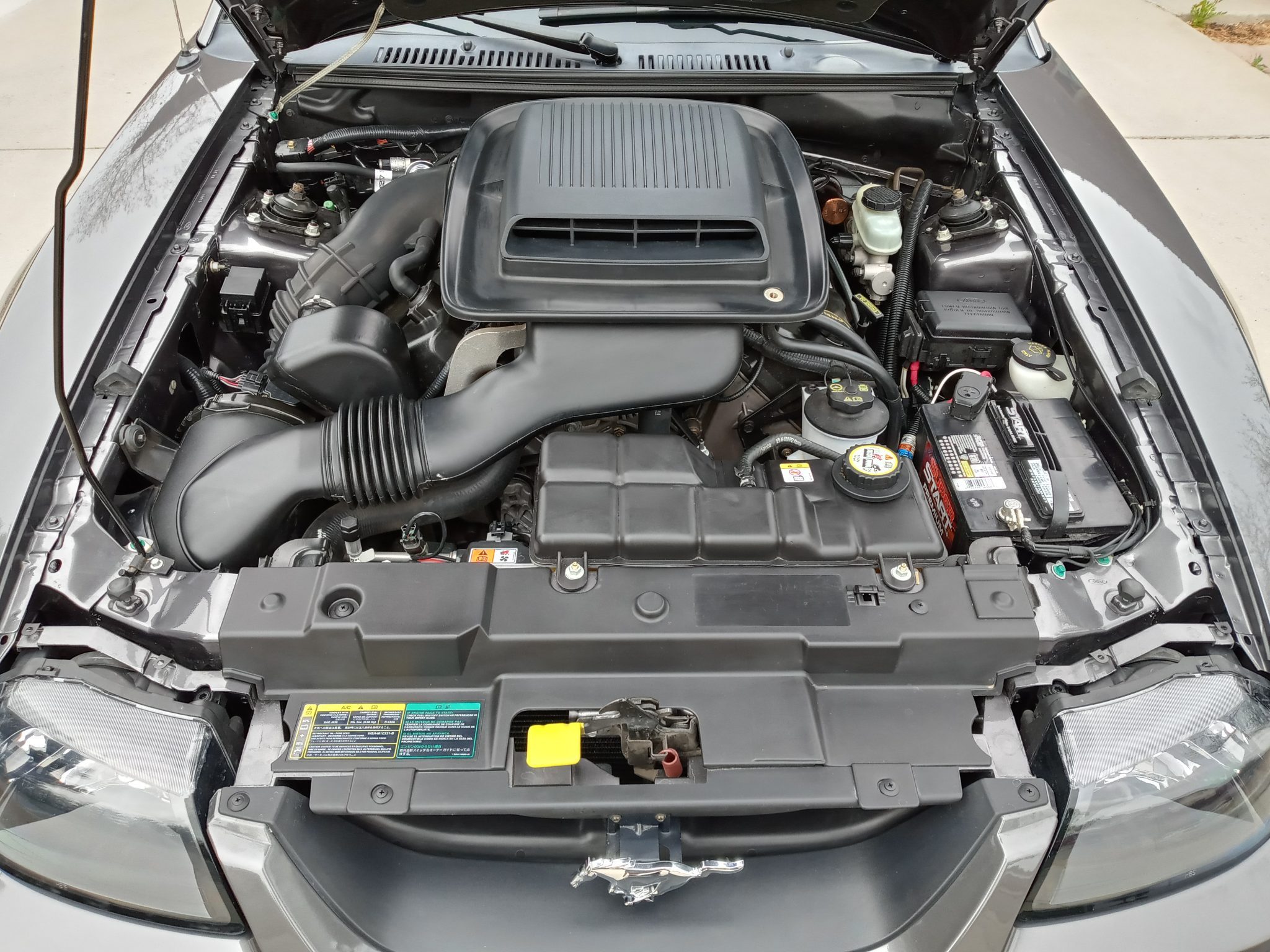 2003 Ford Mustang Mach 1 5-Speed – Sesame Cars