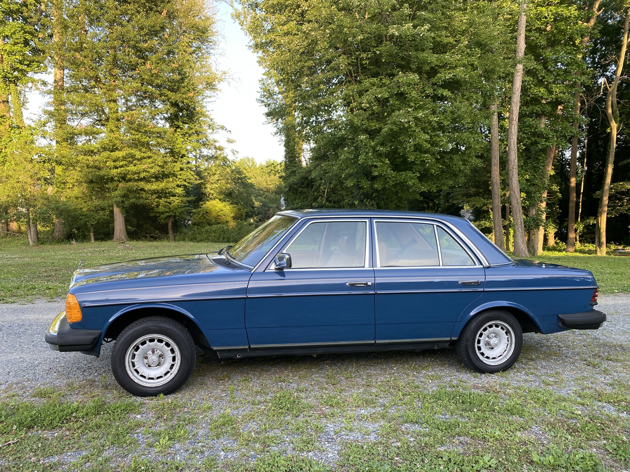 1981 Mercedes-Benz 240D – Sesame Cars