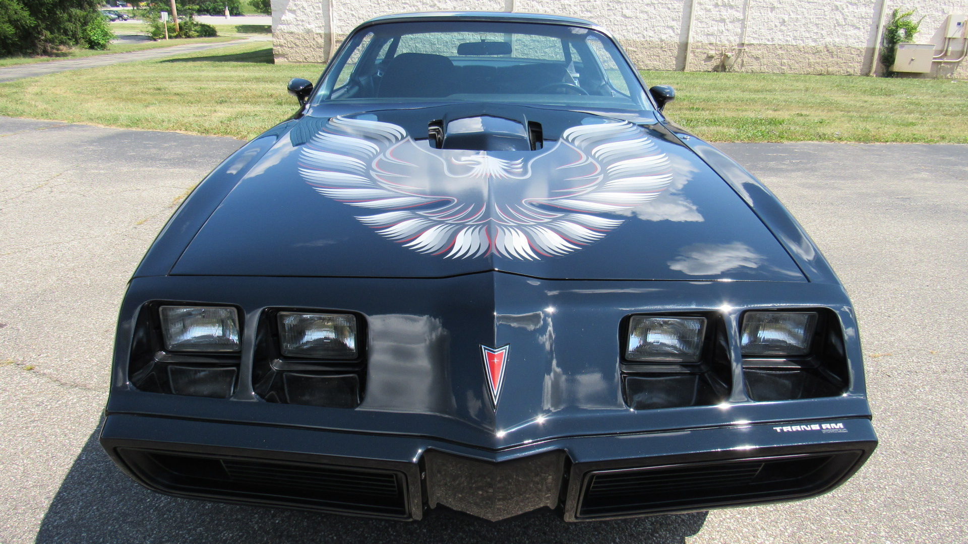 1979 Pontiac Firebird Trans Am WS6 4-Speed – Sesame Cars