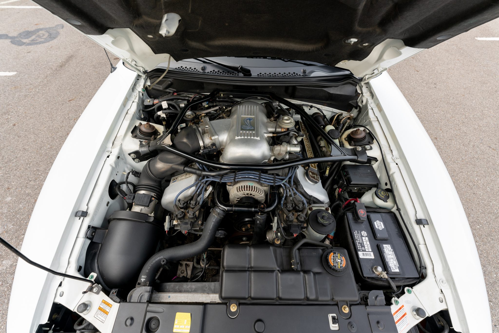 1998 Ford Mustang SVT Cobra Convertible – Sesame Cars