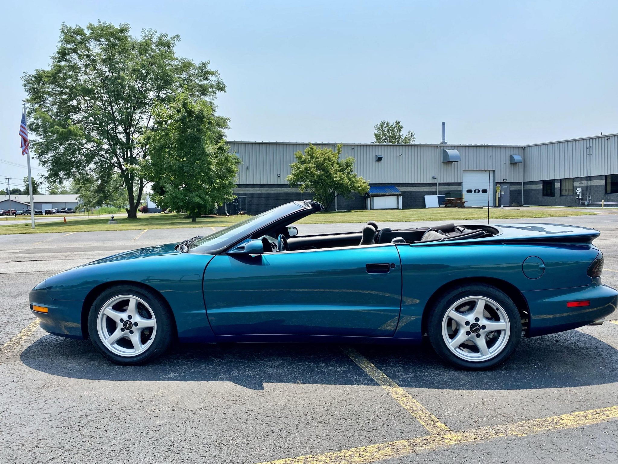1995 Pontiac Firebird Formula Convertible 6-Speed – Sesame Cars