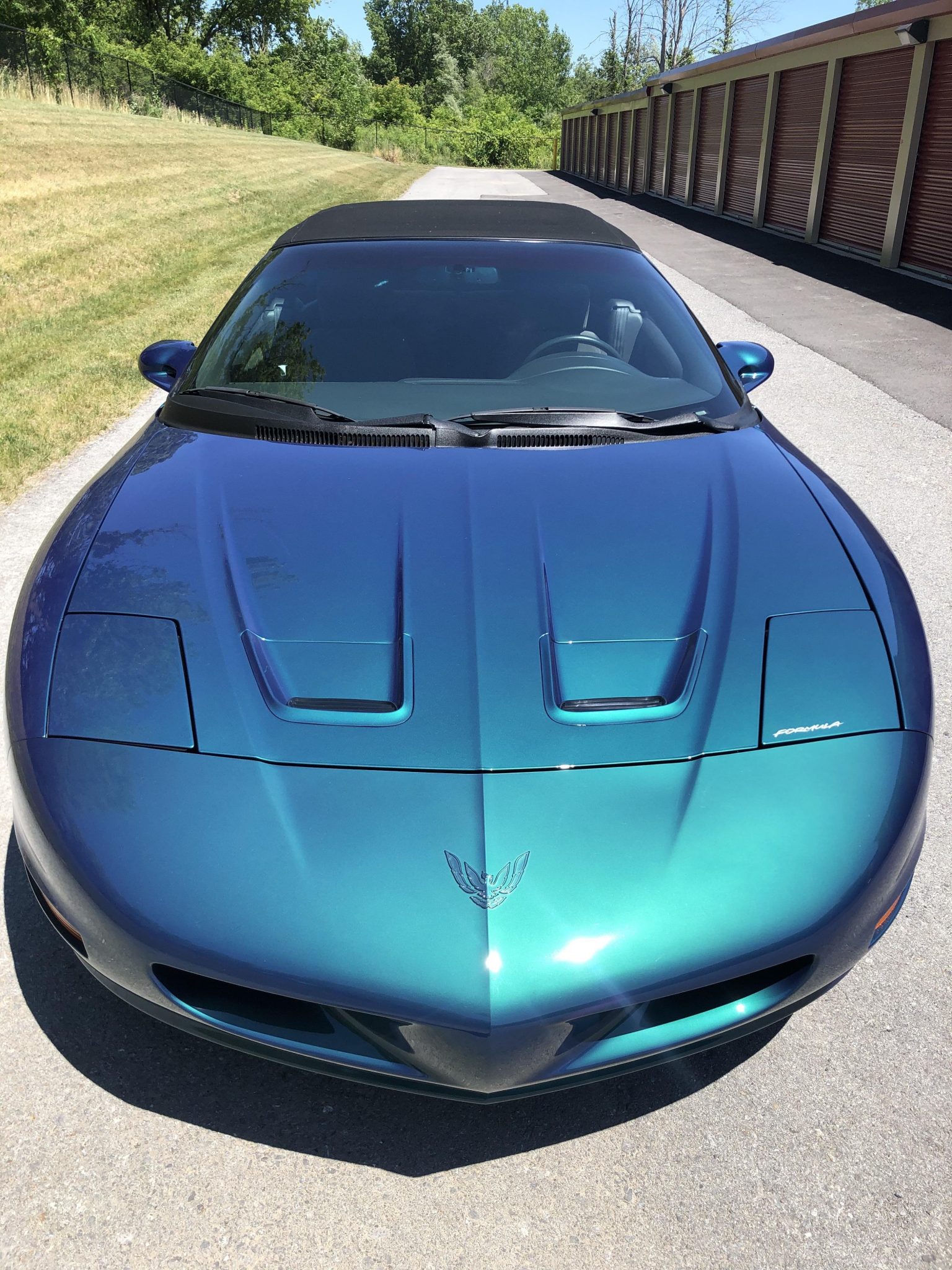 1995 Pontiac Firebird Formula Convertible 6-Speed – Sesame Cars