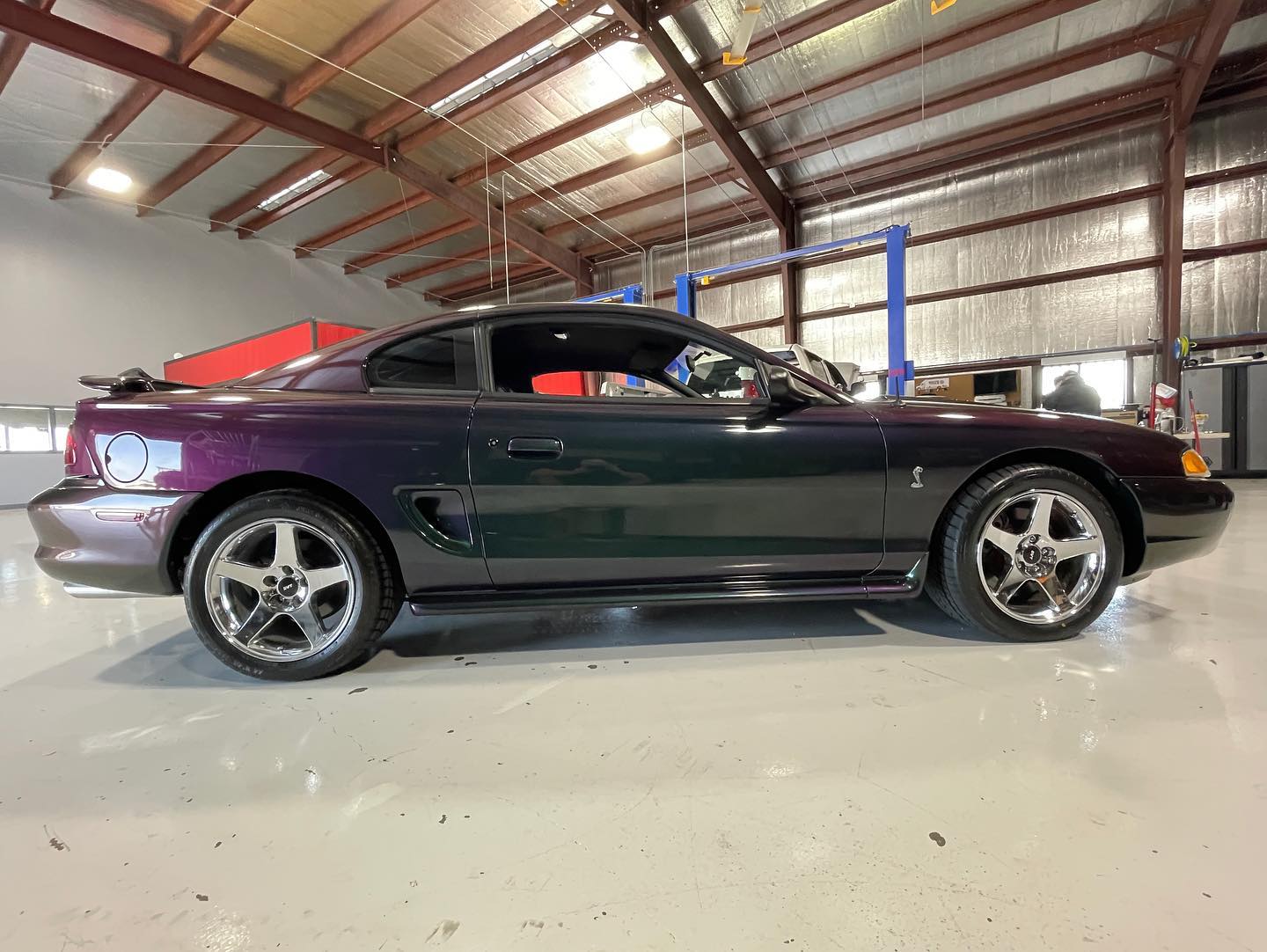 1996 Ford Mustang SVT Cobra – Sesame Cars
