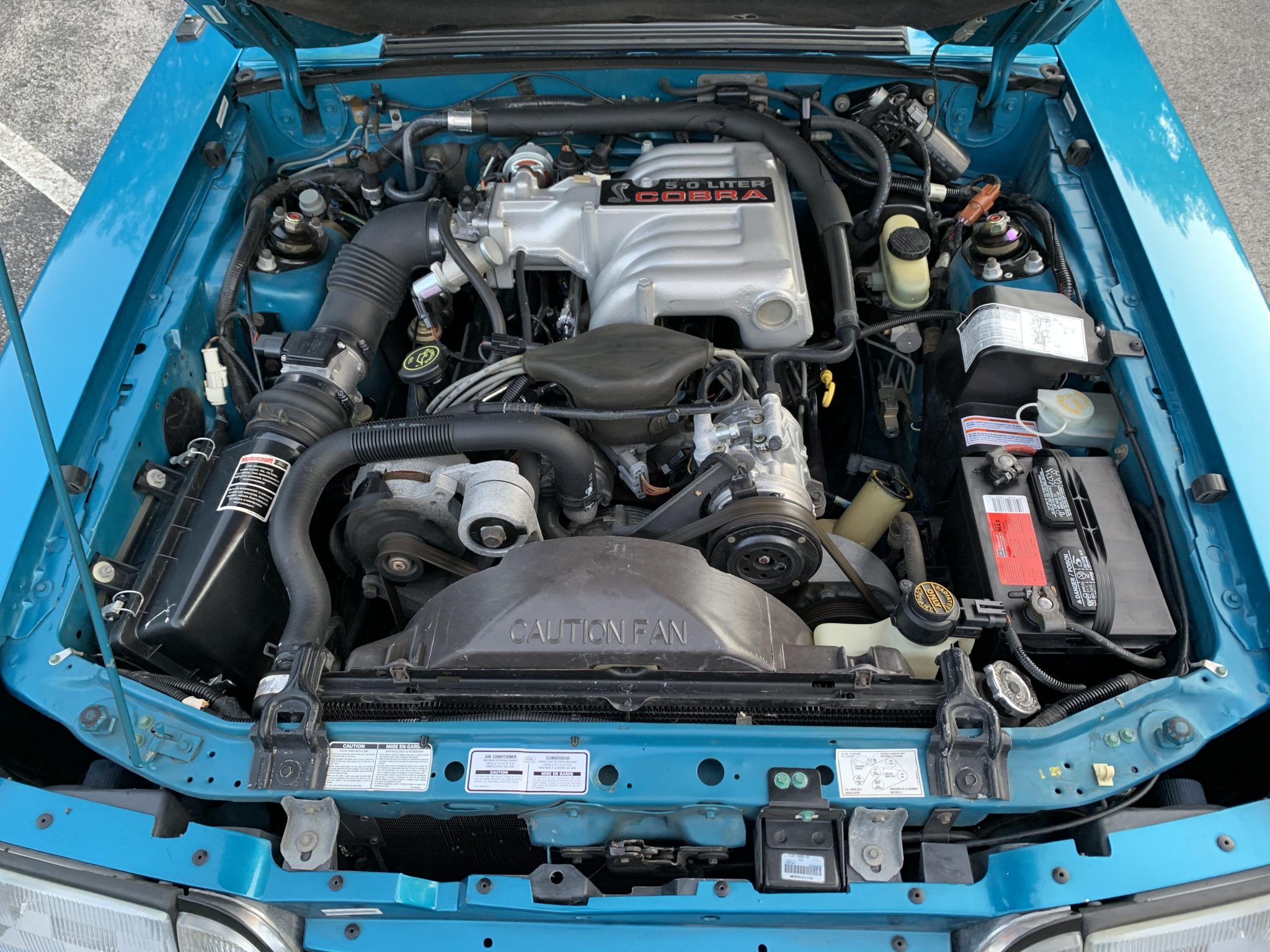 1993 Ford Mustang SVT Cobra – Sesame Cars