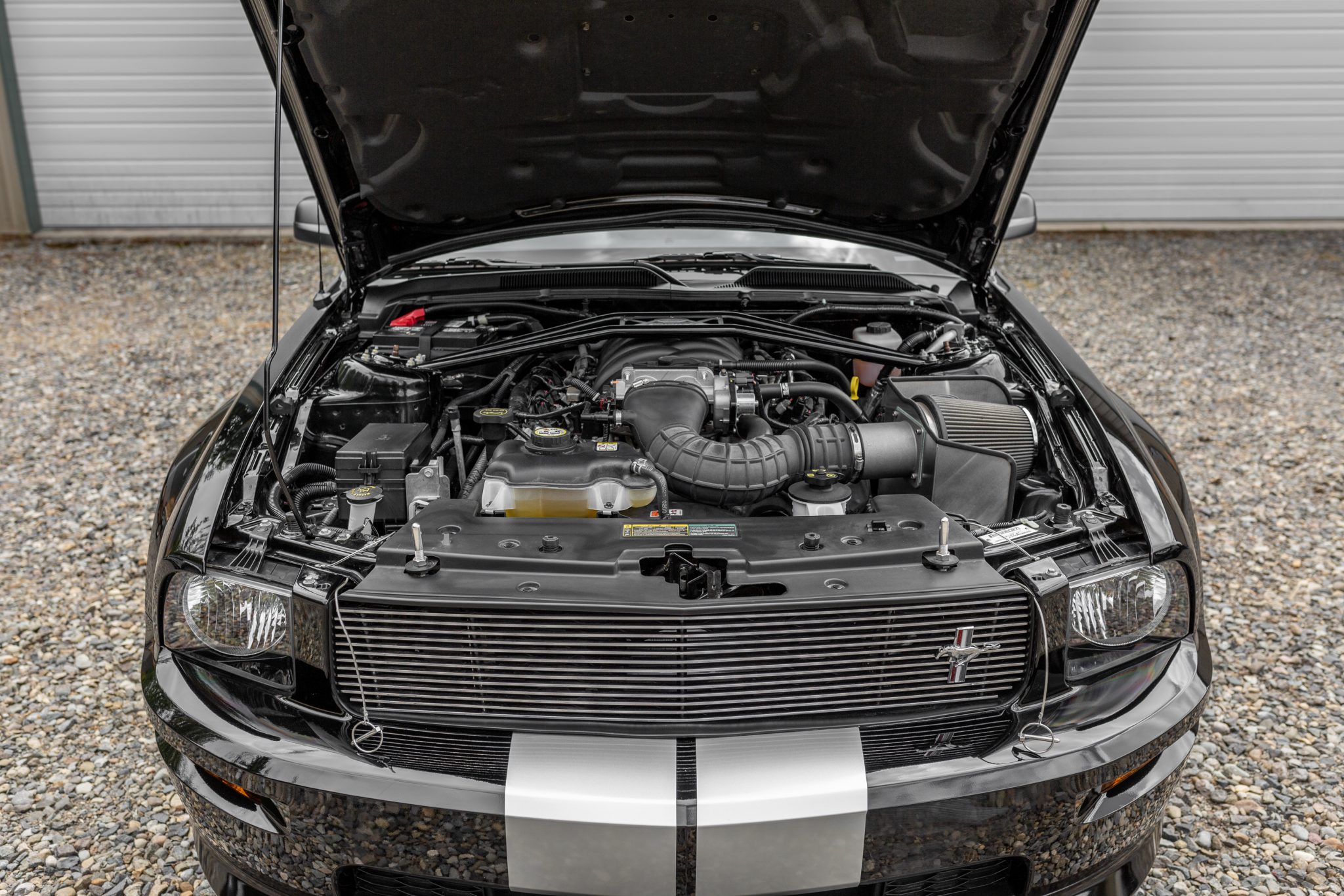 2007 Ford Mustang Shelby GT 5-Speed – Sesame Cars