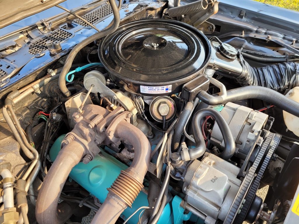 1980 Pontiac Firebird Turbo Trans Am – Sesame Cars