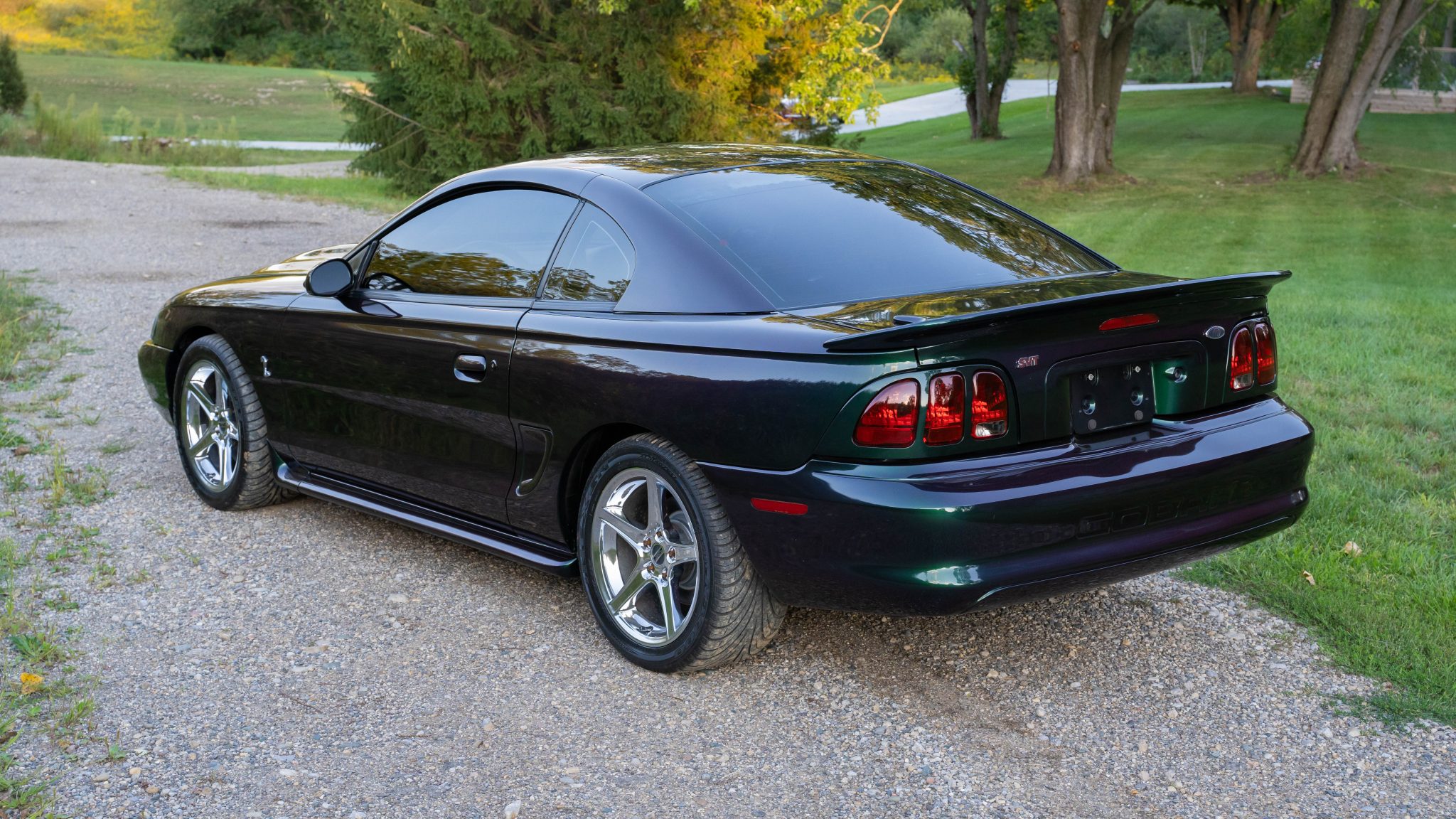 1996 Ford Mustang SVT Cobra Coupe 6-Speed – Sesame Cars