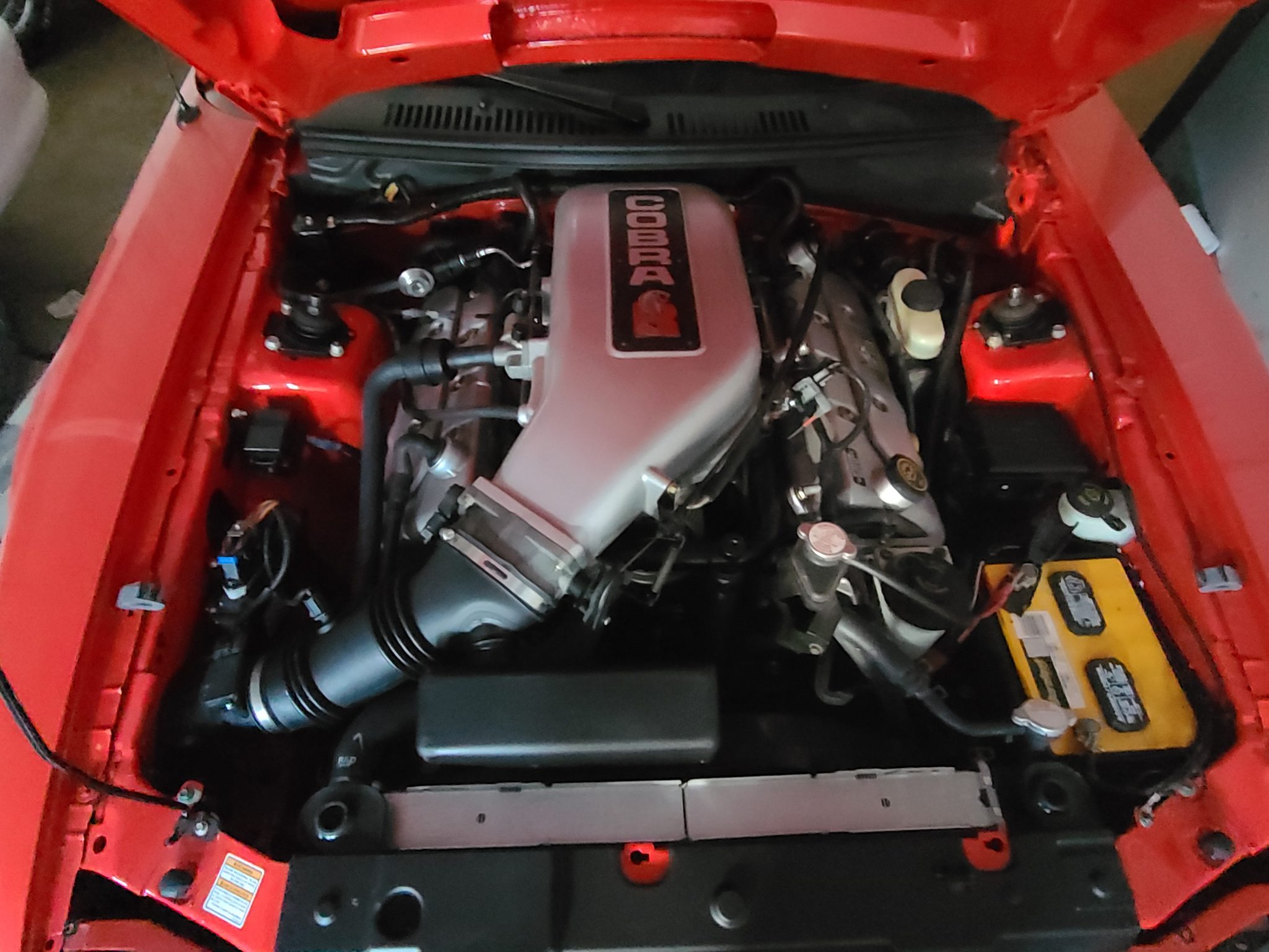 2000 Ford Mustang Cobra R – Sesame Cars