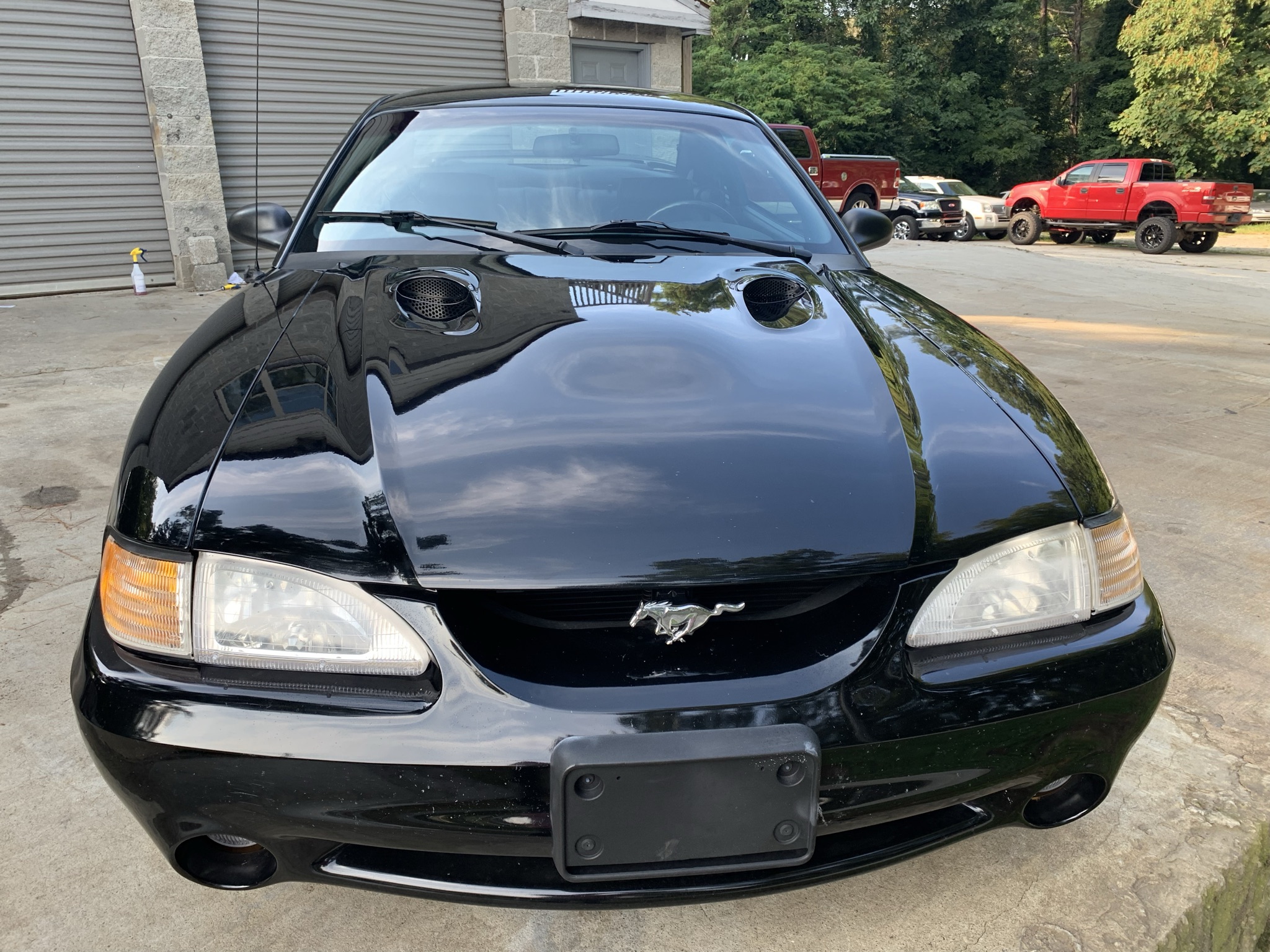 1997 Ford Mustang SVT Cobra – Sesame Cars