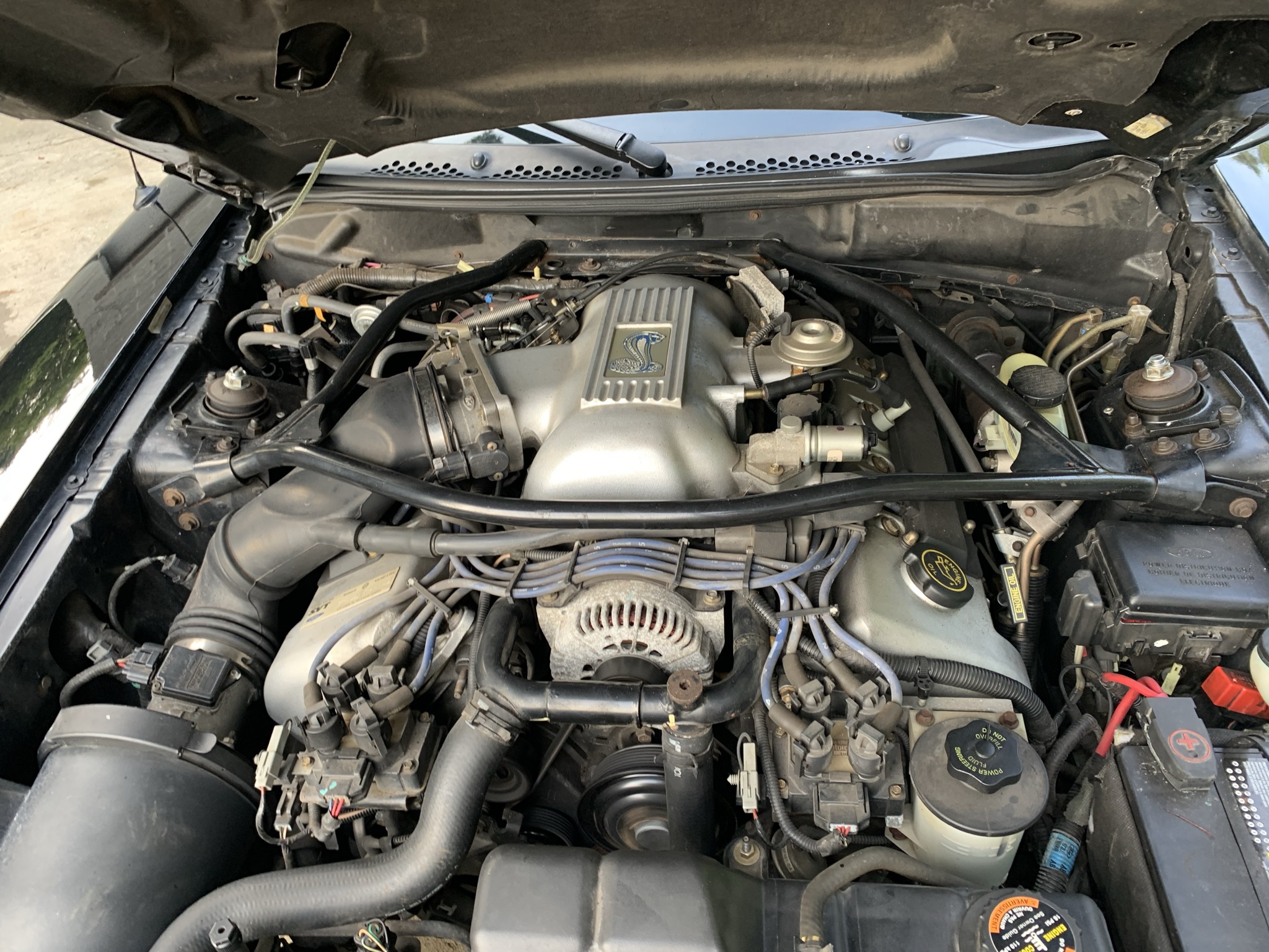 1997 Ford Mustang SVT Cobra – Sesame Cars