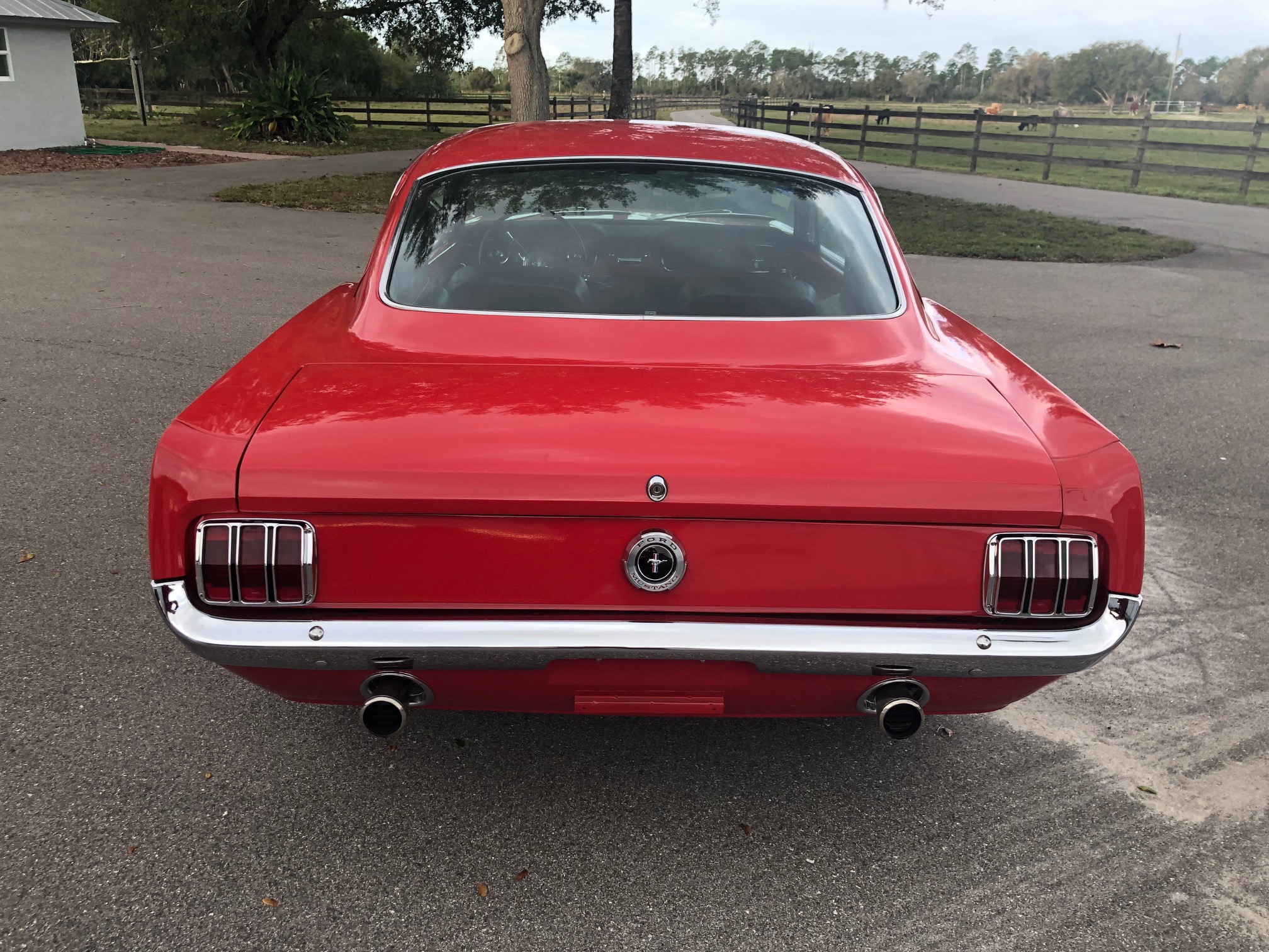 1965 Ford Mustang Fastback K-Code 4-Speed – Sesame Cars